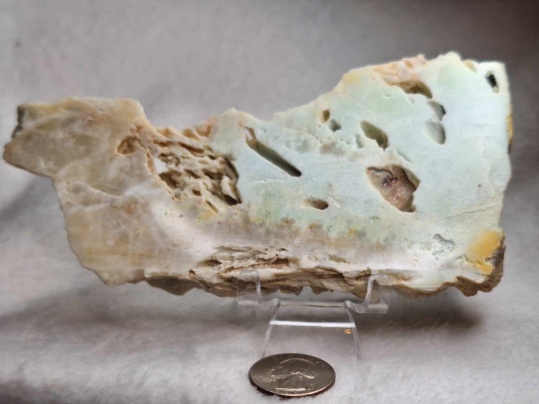 6" Caribbean Calcite Slab Specimen With Holder - Etsy