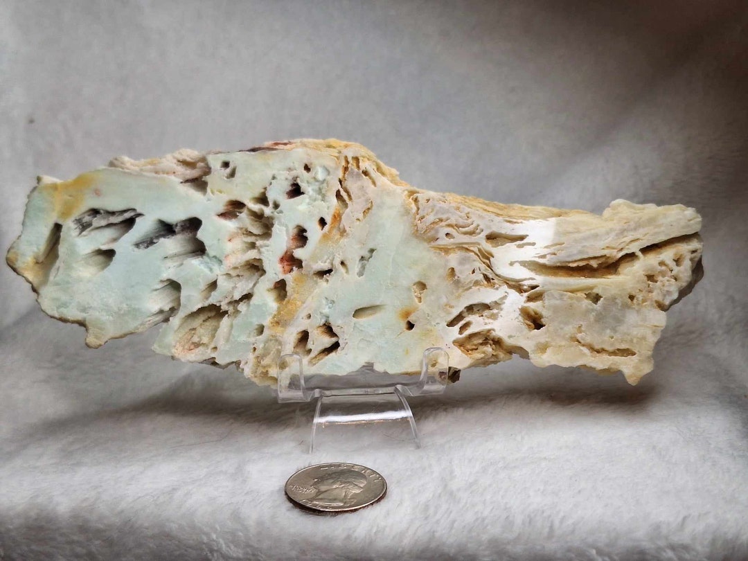 7.4" Caribbean Calcite Slab Specimen With Holder - Etsy