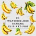 19 Watercolours Banana Clipart, PNG, Bundle, Transparent Background ...