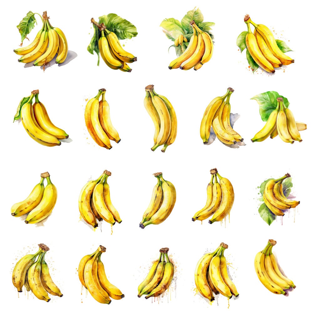 19 Watercolours Banana Clipart, PNG, Bundle, Transparent Background ...