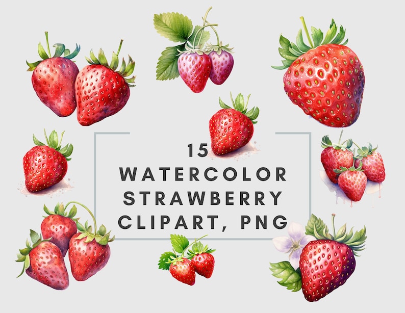 15 Watercolor Strawberry, Clipart, PNG, Overlay, Bundle - Etsy