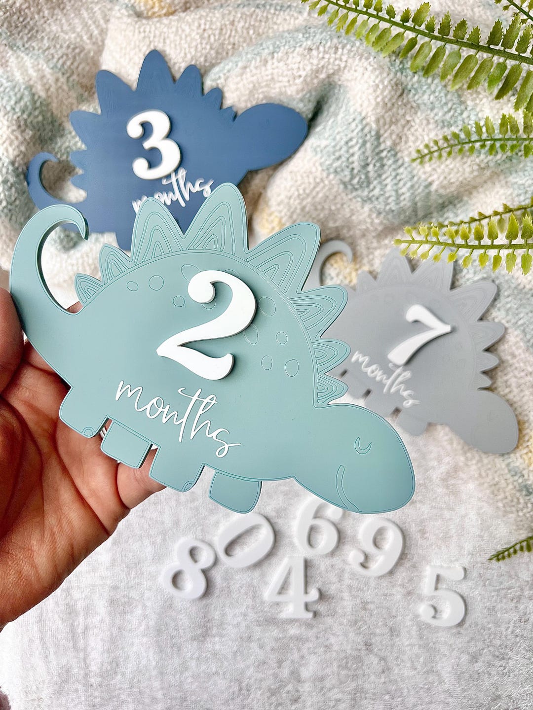 Baby Boy Dinosaur Milestone Cards: Acrylic Photo Prop Set - Etsy