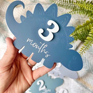 Baby Boy Dinosaur Milestone Cards: Acrylic Photo Prop Set - Etsy