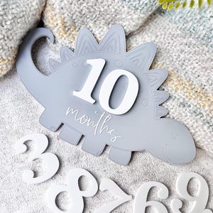 Baby Boy Dinosaur Milestone Cards: Acrylic Photo Prop Set - Etsy