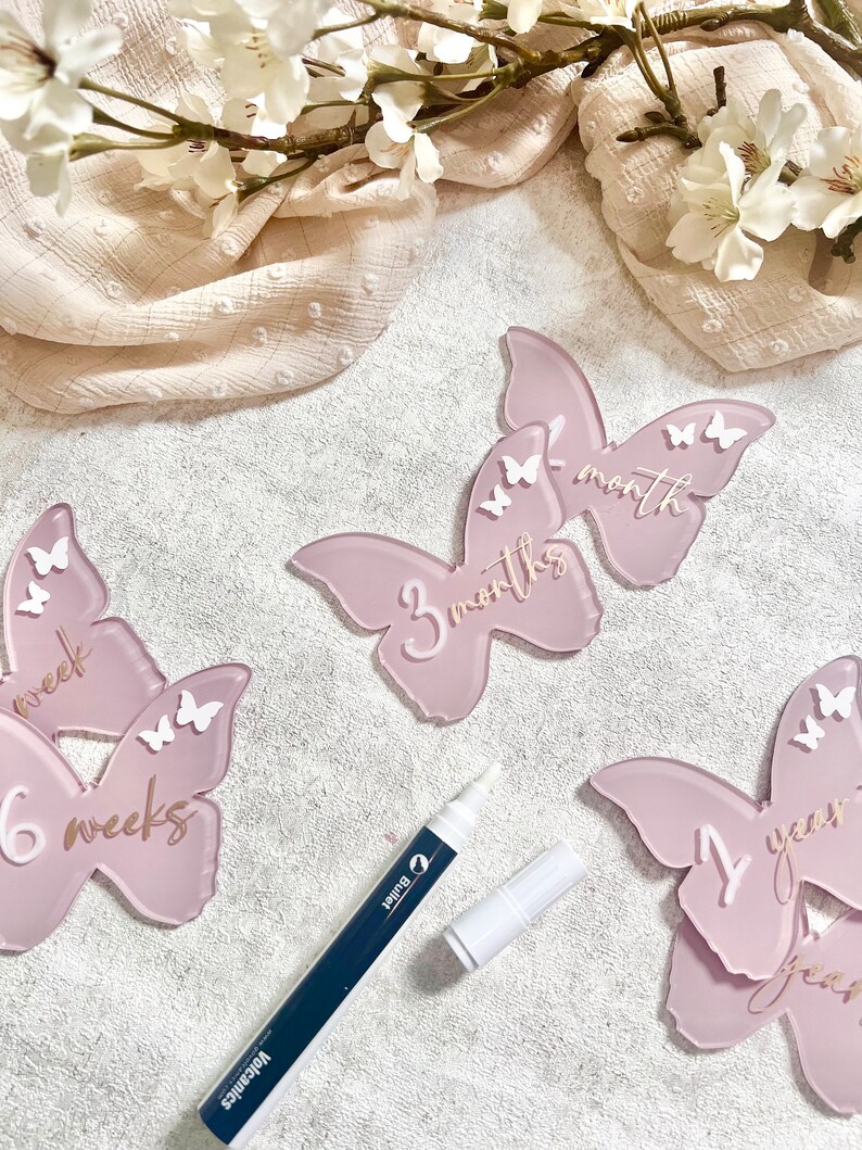 Erasable Baby Monthly Milestone Disc, Weekly Milestone Cards, Baby ...