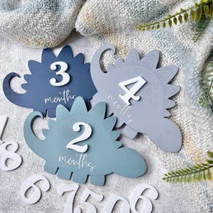 Baby Boy Dinosaur Milestone Cards: Acrylic Photo Prop Set - Etsy