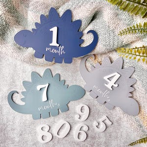 Baby Boy Dinosaur Milestone Cards: Acrylic Photo Prop Set - Etsy
