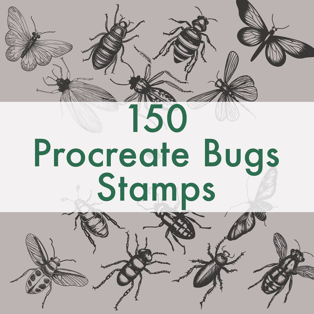 150 Procreate Bugs Stamps Bugs Procreate Stamps Procreate - Etsy