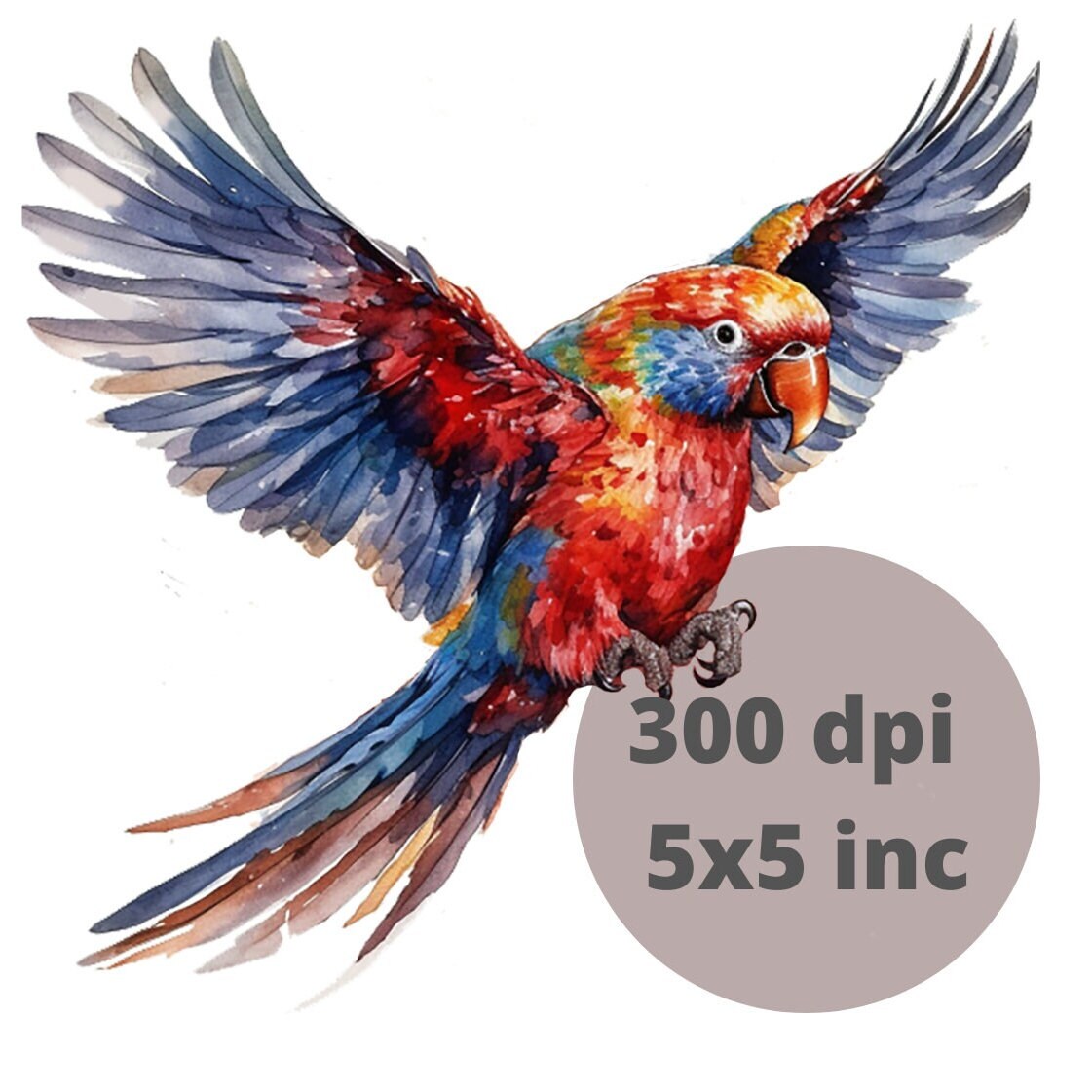 Parrot Watercolor Clipart, Tropical Birds With Flowers and Leaves in ...