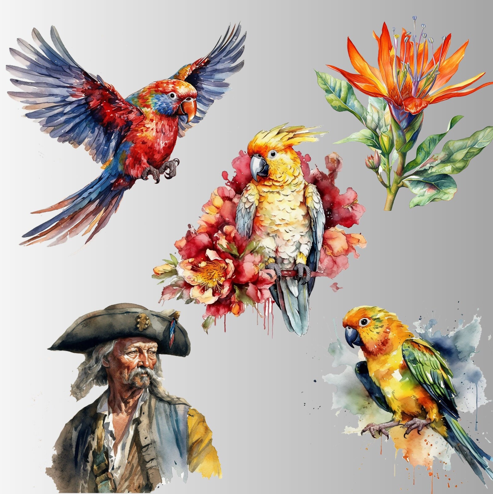 Parrot Watercolor Clipart, Tropical Birds With Flowers and Leaves in ...