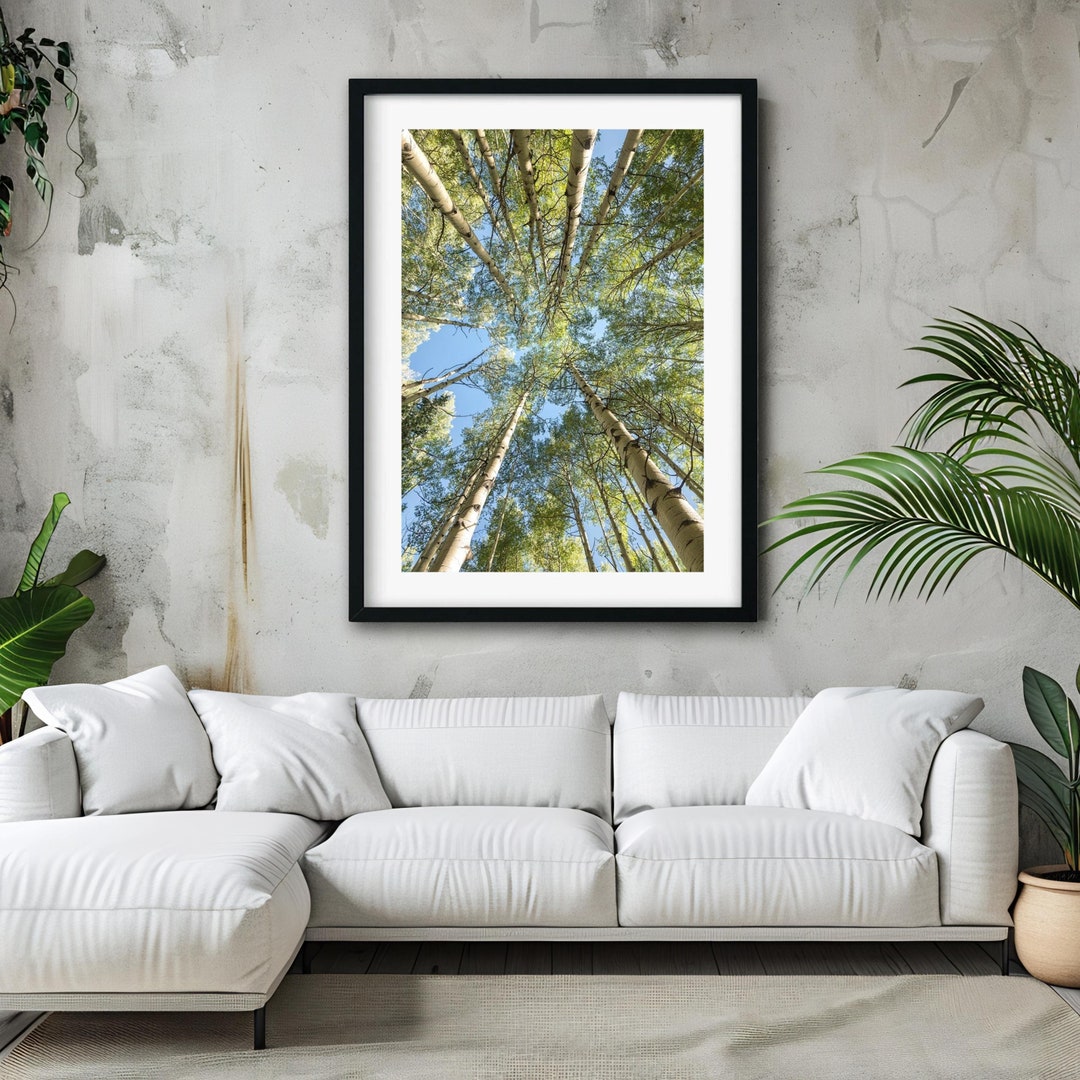 Aspen Trees Photography Art Print: Nature Theme Wall Decor - Etsy