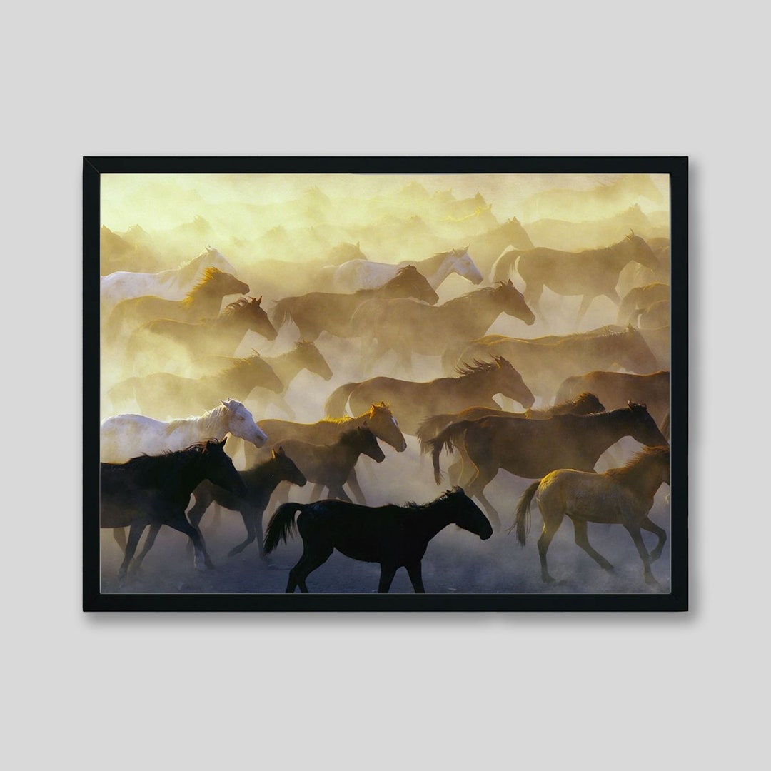 Wild Horses Stampede Photography Print: Western Ranch Art, Custom ...