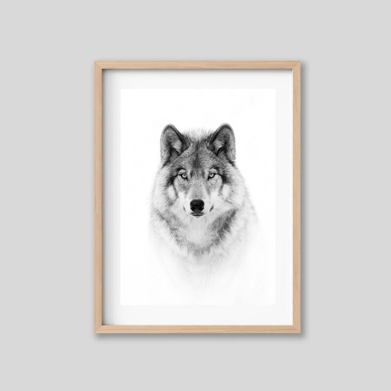 Black and White Wolf Art Print, Wild Animal Wall Art, Unframed Art ...