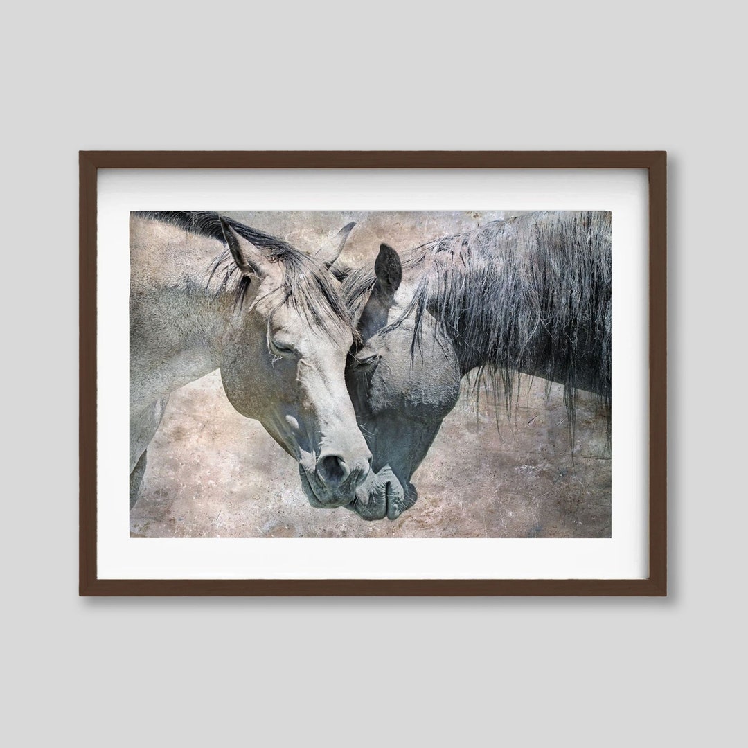 Horse Head Nuzzle Rustic Color Photography Print, Western Photography ...