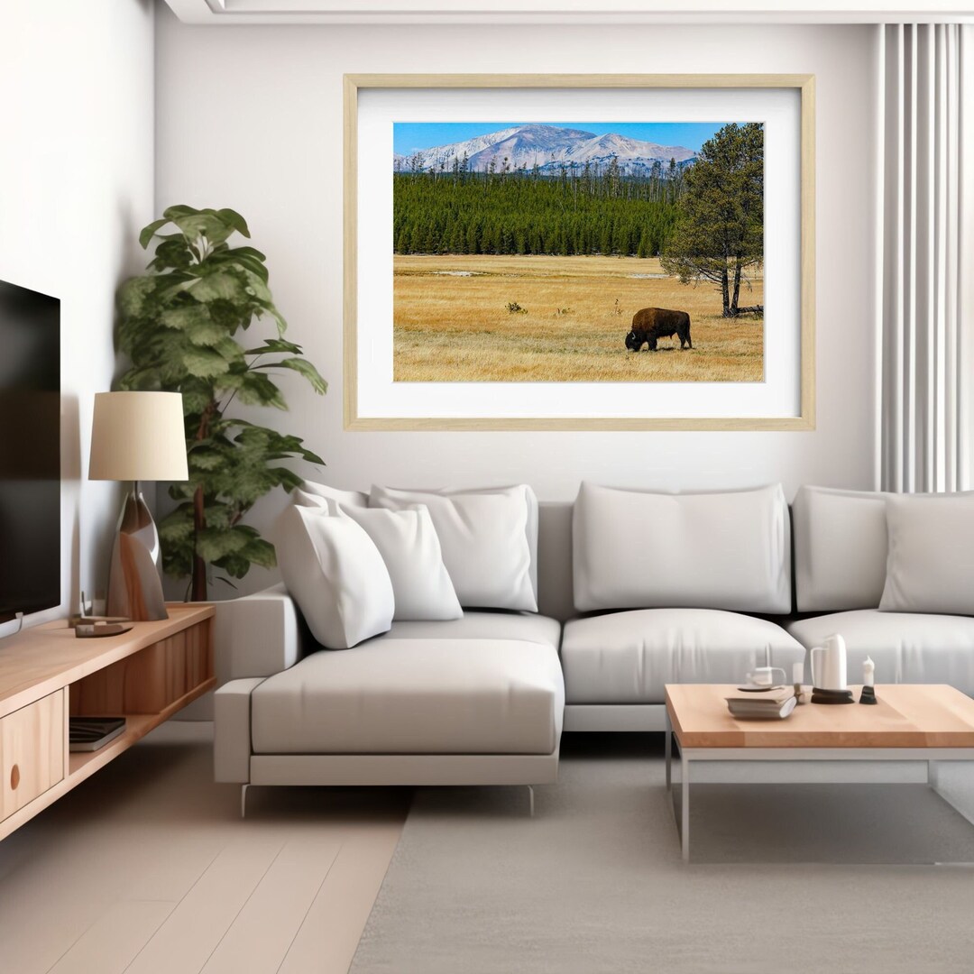 Yellowstone Wyoming USA Landscape and Buffalo Photography Print ...