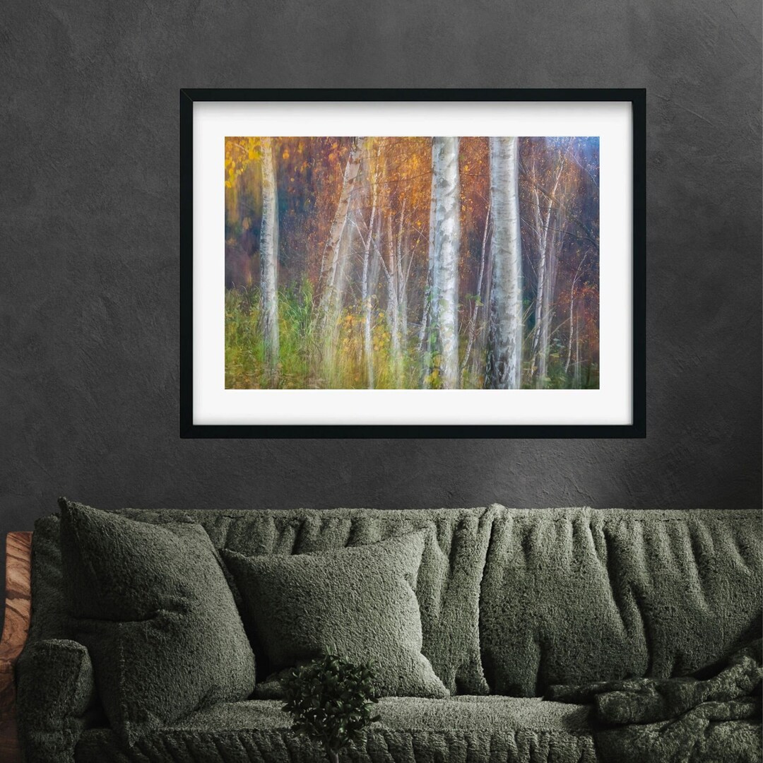 Fall Color Rainbow Pallet of a Tree Lined Forest Photography Print - Etsy