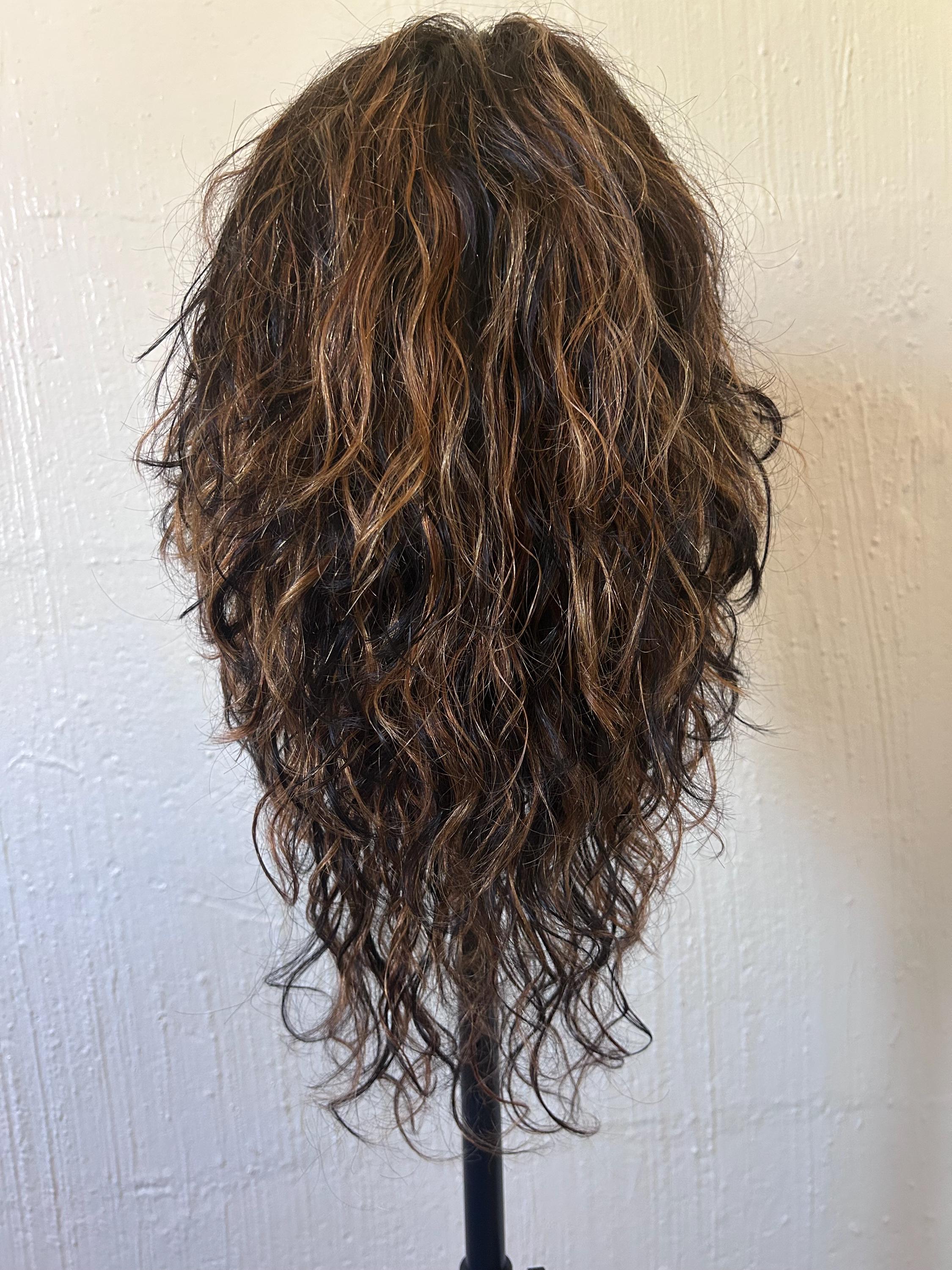 Shaggy Wolf Cut Mullet Wig Human Hair With Highlights, 5x7 Lace Closure ...