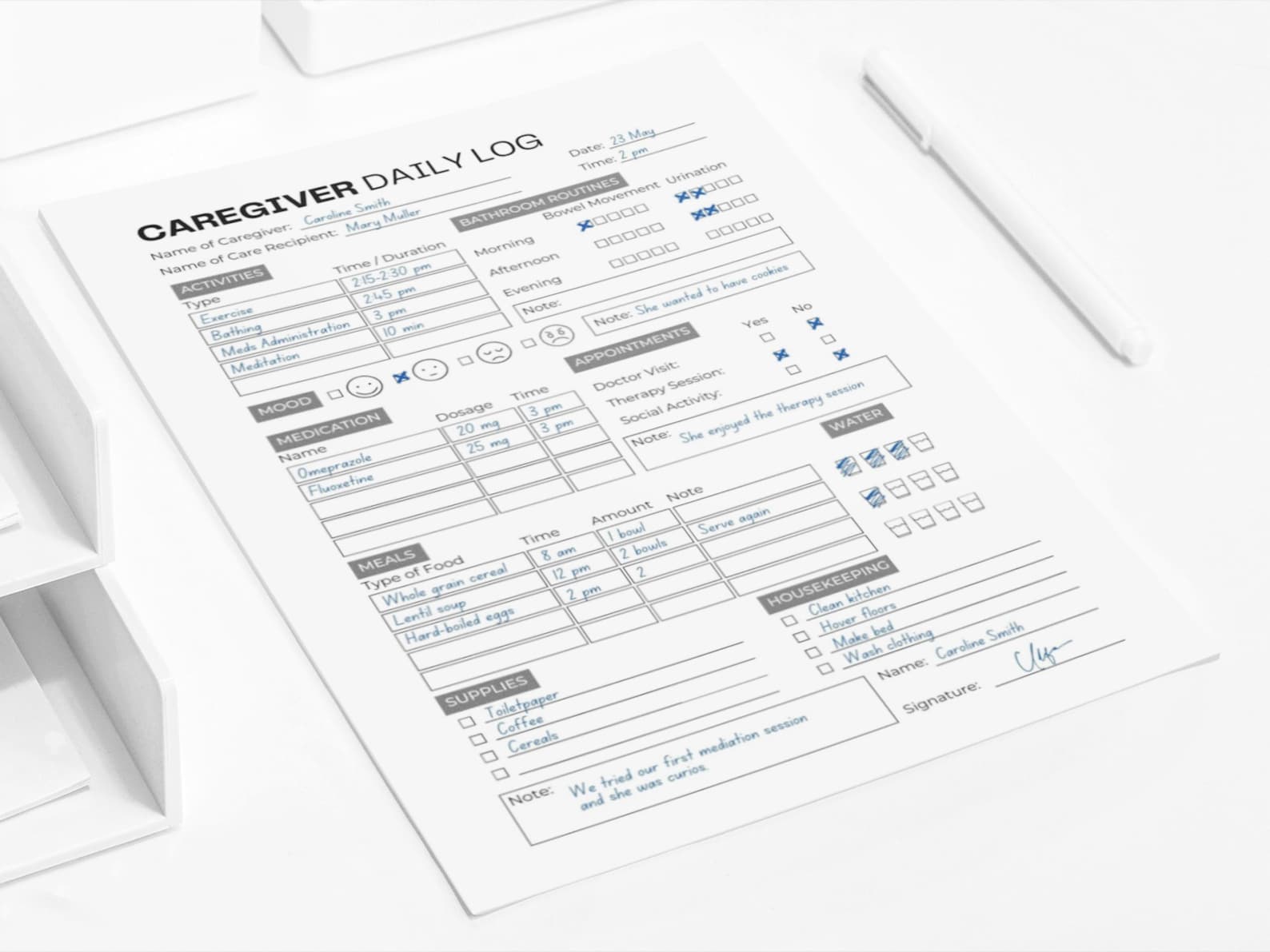 Caregiver Checklist Printable Caregiver Daily Log Fillable PDF Daily ...