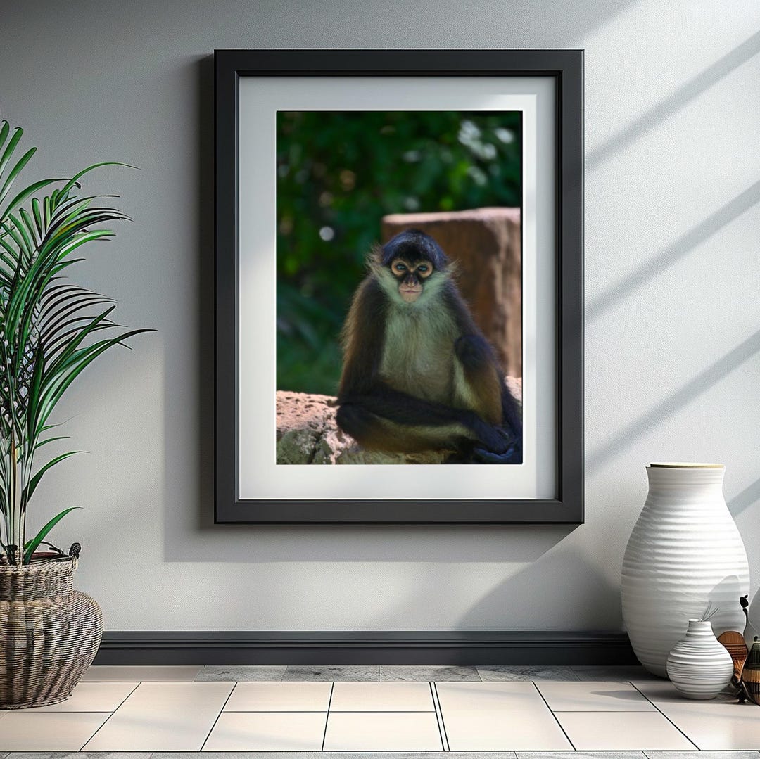 Spider Monkey Digital Photo Printable Wall Art for Home Monkey Wall Art ...