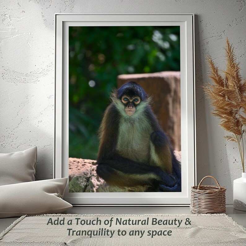 Spider Monkey Digital Photo Printable Wall Art for Home Monkey Wall Art ...