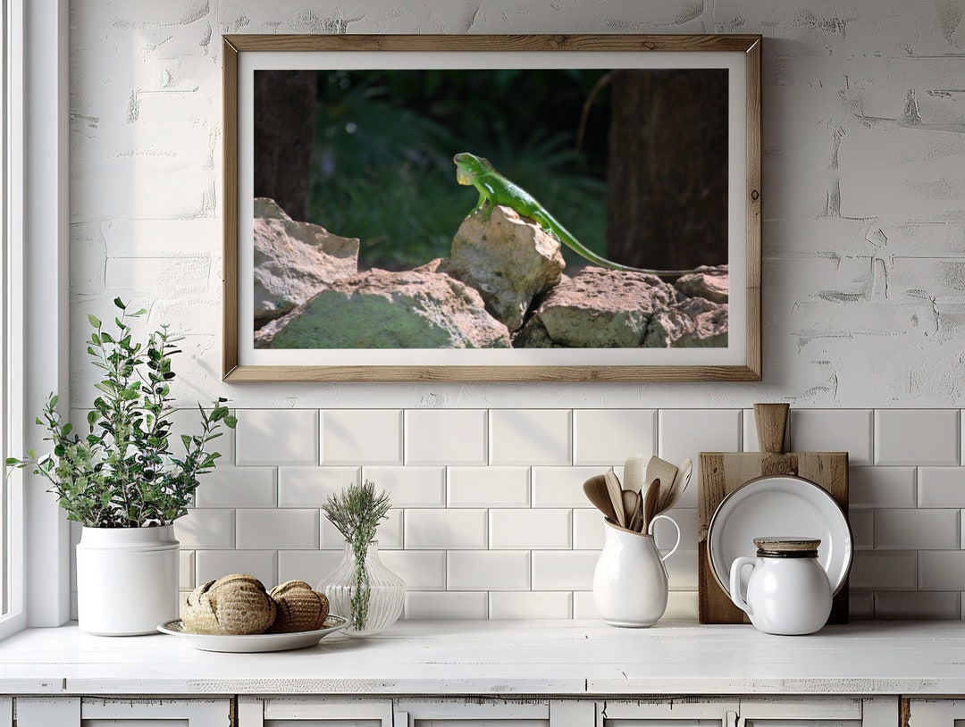 Green Iguana Poster Print Reptile Wall Art Gift for Him Desk Décor ...