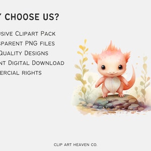 Watercolor Axolotls Clipart, 10 PNG Watercolor Highland Cute Baby ...