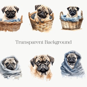 Pug Clipart | 10 High Quality Transparent PNG | Cute Pug in Basket Cute ...