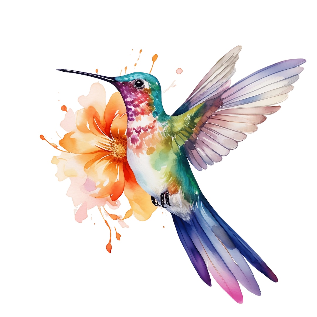 Watercolor Hummingbird Clipart 10 JPG Colorful Bird, Floral Bird ...