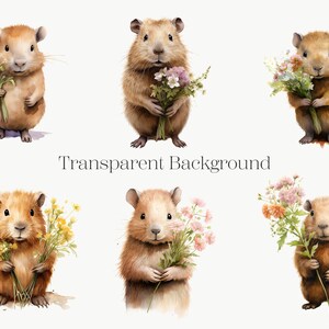 Cute Capybara Clipart, 10 PNG Cute Animal With Flowers, Floral Animal ...