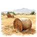 Bale of Hay Clipart Bundle | 10 JPG | Watercolor Farm Landscape ...