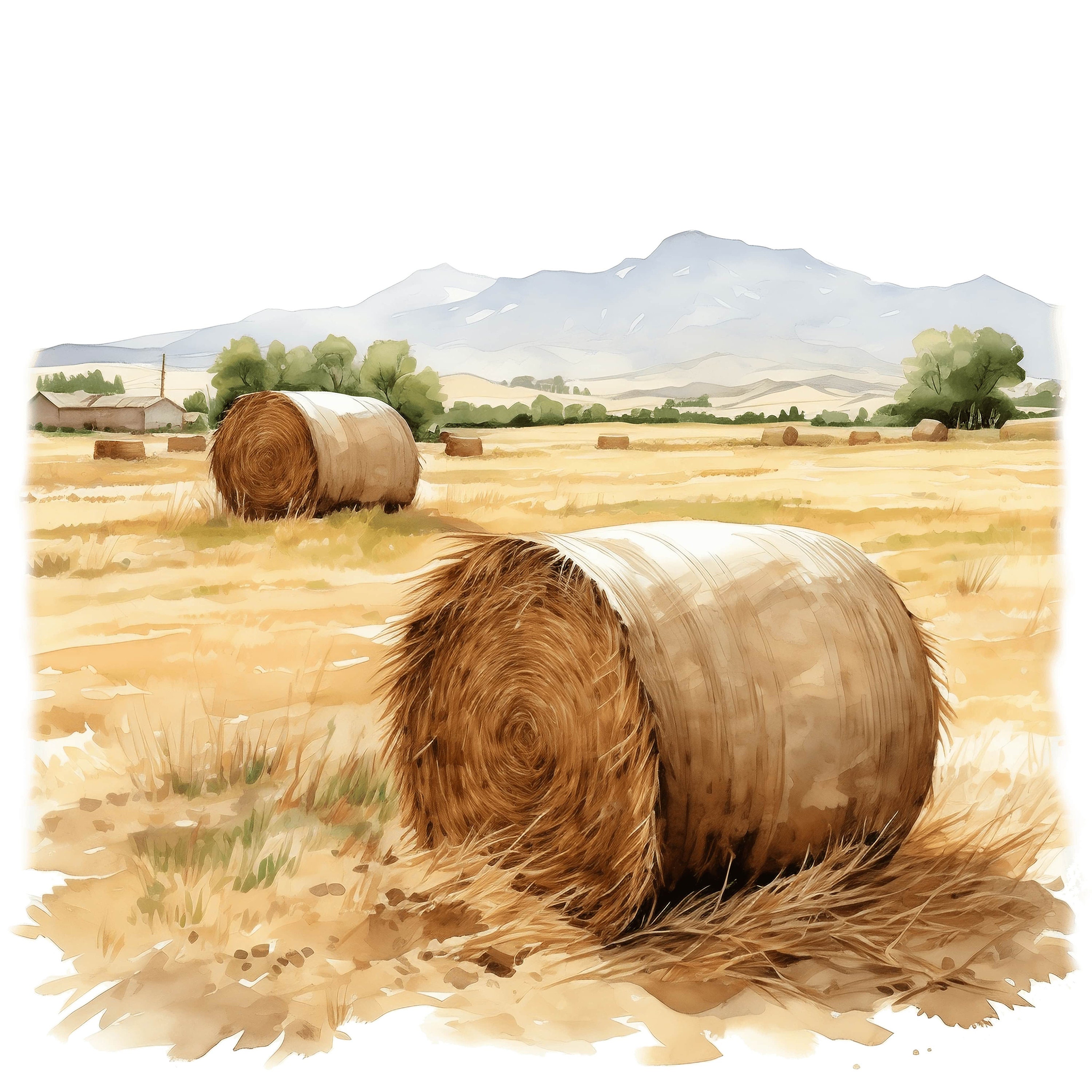 Bale of Hay Clipart Bundle 10 JPG Watercolor Farm - Etsy