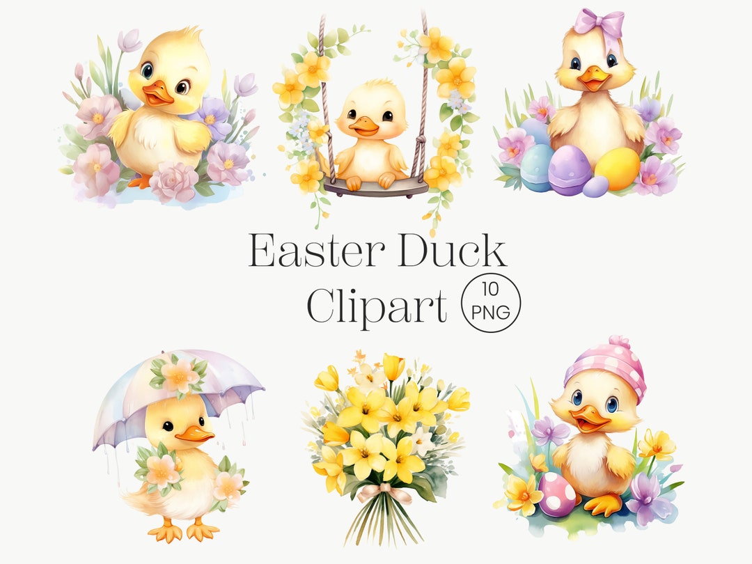 Easter Duck Clipart | 10 Transparent PNG | Spring Clipart, Easter ...
