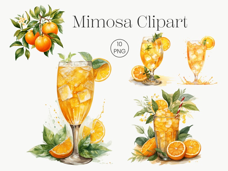 Mimosa Cocktail Watercolor Clipart | Champagne Brunch PNG (digital ...