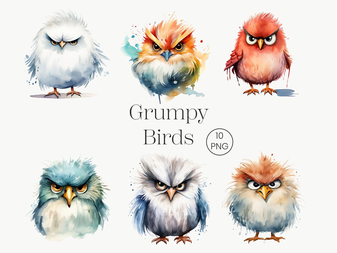 Grumpy Birds Clipart | 10 PNG | Colorful Birds Digital Clipart Cute ...