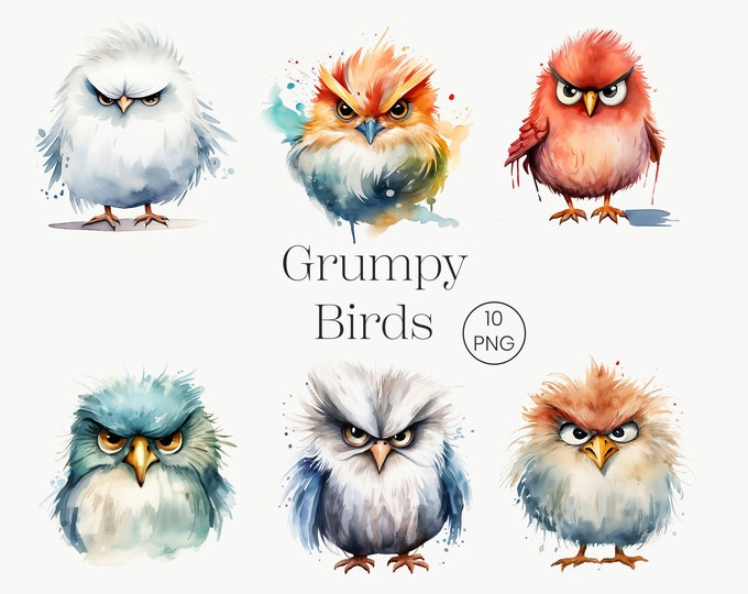 12 Quirky Grumpy Bird Clipart JPG Silly Goofy Birds Clip Art Bundle ...