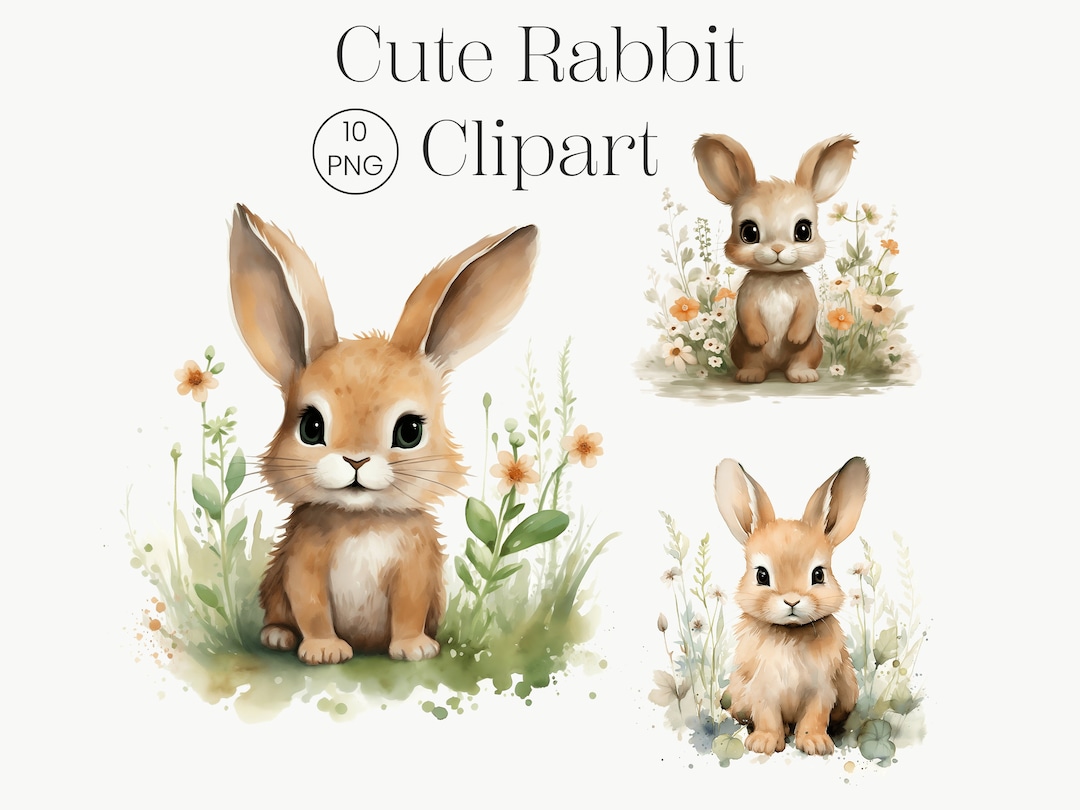 Watercolor Bunny Clipart, Floral Rabbit PNG (digital Download) - Etsy