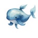 Watercolor Whale Clipart Whale Clipart Nursery Decor Baby - Etsy
