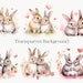 Bunny Love Clipart 10 PNG Watercolor Rabbit Clipart Printable ...