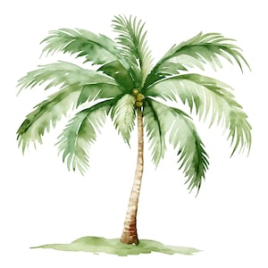 Watercolor Palm Trees Clipart: Tropical Summer Designs (digital ...