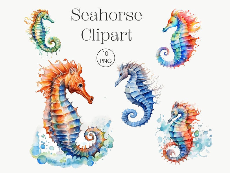 Watercolor Seahorse Clipart | 10 Colorful PNG Sea Animals (digital ...