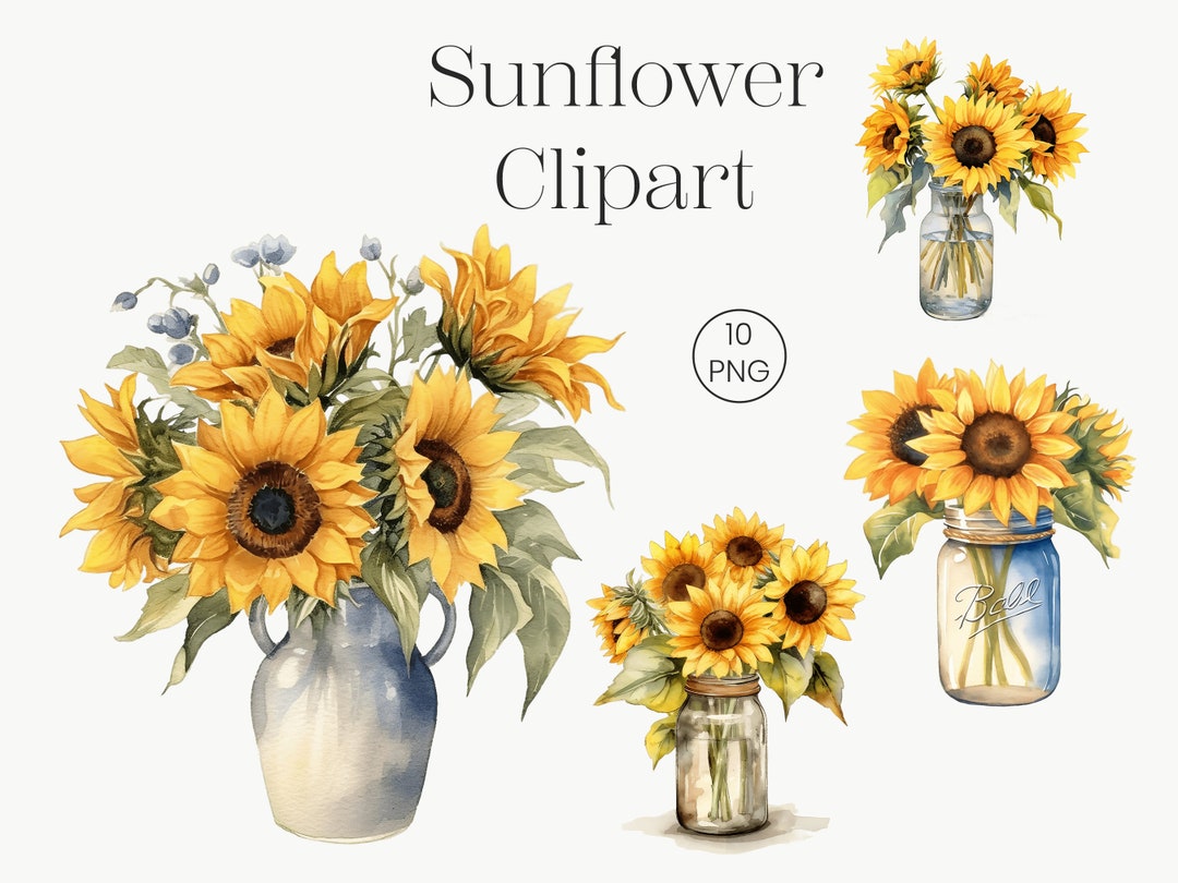 Watercolor Sunflower Clipart | Vase, Bouquet PNG (digital Download) - Etsy