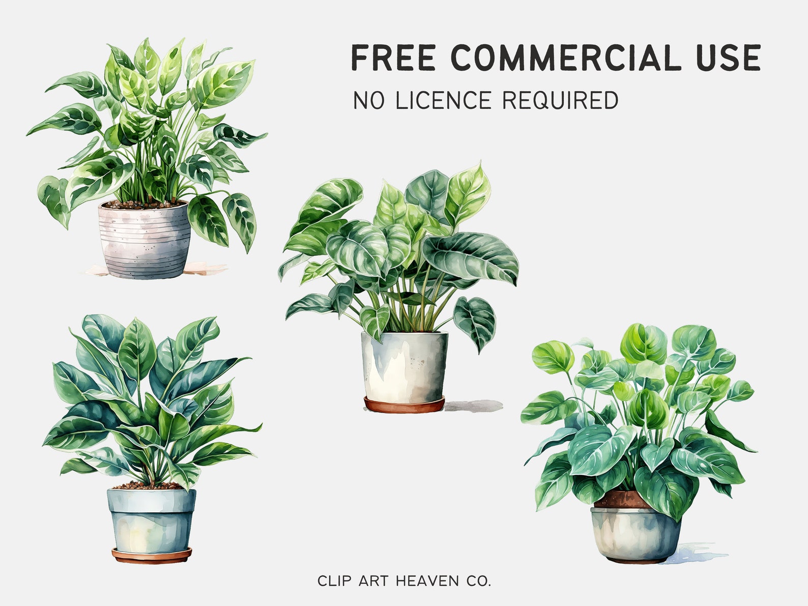 House Plant Watercolor Png 10 Transparent PNG Flower Pot - Etsy