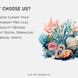 Watercolor Seashell Clipart, 10 Png, Coral Reef Seashells Clipart Ocean ...
