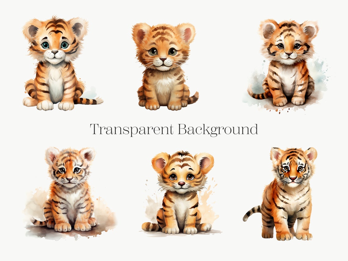 Watercolor Baby Tiger Clipart | 10 PNG Illustrations (digital Download ...