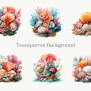 Watercolor Seashell Clipart, 10 Png, Coral Reef Seashells Clipart Ocean ...