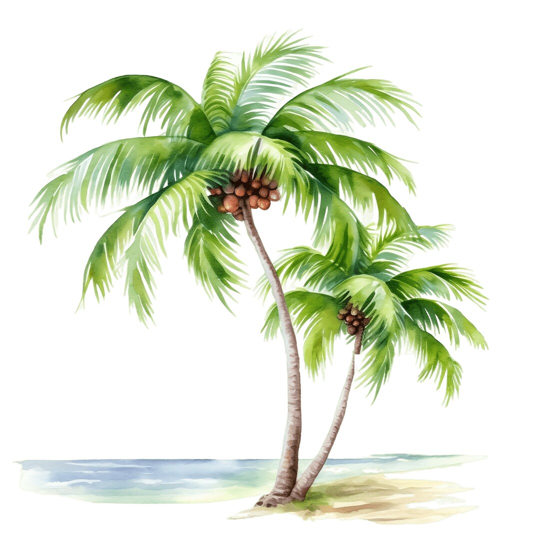 Watercolor Palm Trees Clipart: Tropical Summer Designs (digital ...