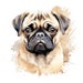 Pug Clipart | 10 High Quality JPG | Cute Pug in Basket Cute Puppy ...