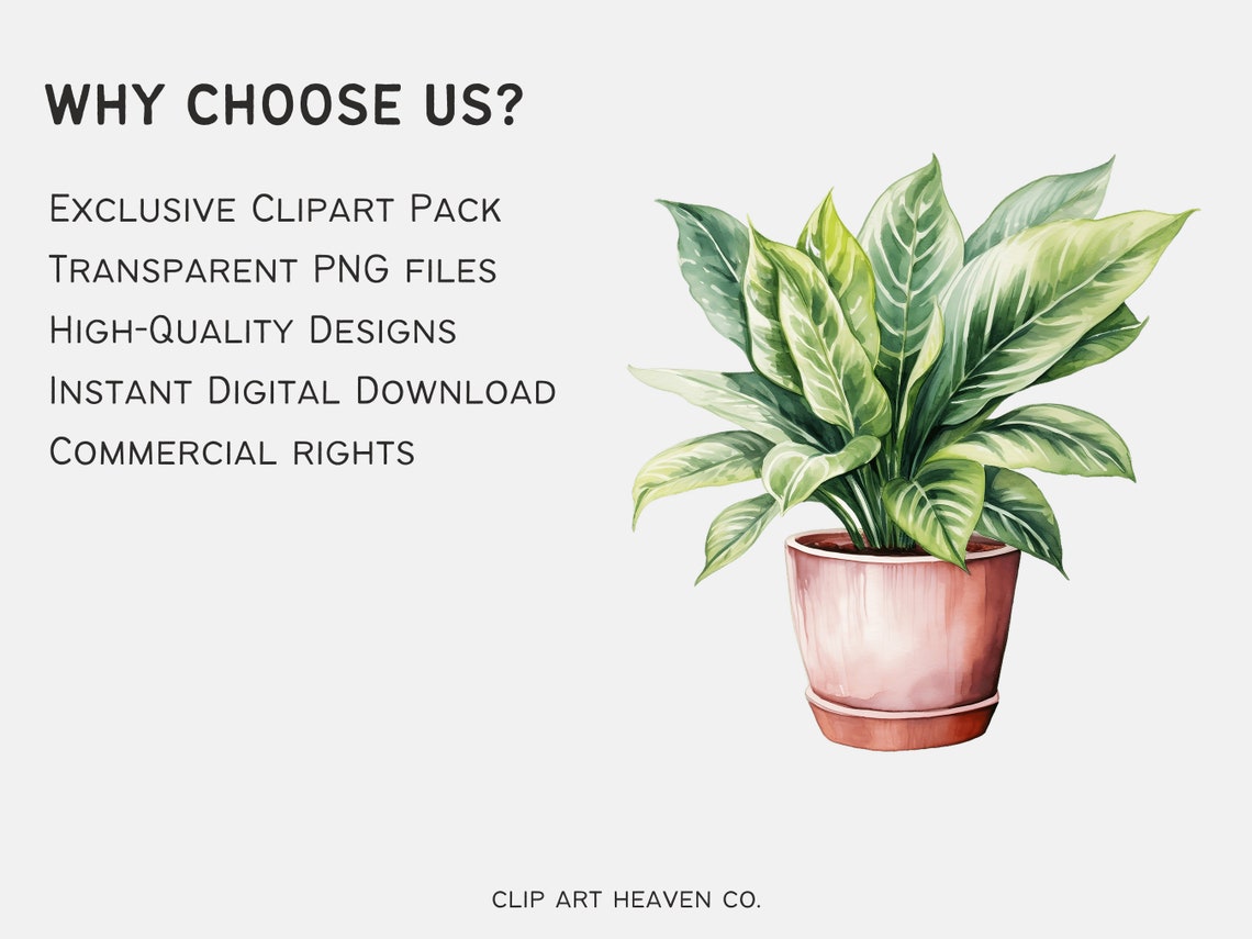 House Plant Watercolor Png 10 Transparent PNG Flower Pot - Etsy