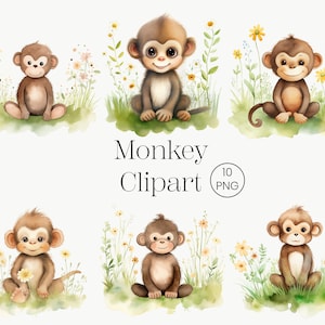 Cute Monkey Baby Clipart | 10 PNG | Floral Animal Clipart Monkey for ...