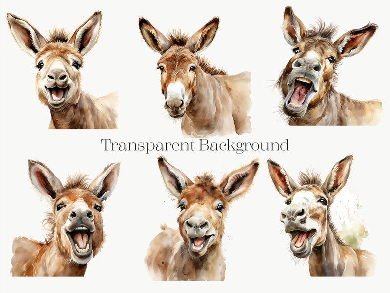 Funny Donkey Clipart 10 PNG Donkey Laugh Clipart Farm Printable High Quality Digital Download ...